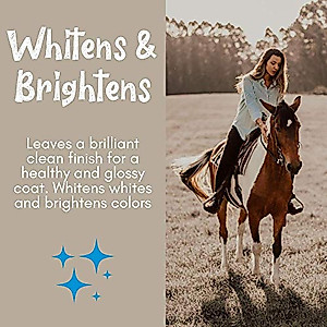 WashBar Natural Horse Shampoo Bar, for Horses and Large Dogs, Whitens Brightens All Colored Coats, Long-Lasting and Easier to Use Than Liquid Pet Shampoo with No Plastic Waste, 6.5oz