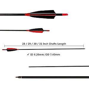 Letszhu Carbon Archery Arrows 500 Spine with Real Feathers for Compound Recurve Bow (12 Pack) (31 Inch Arrows)