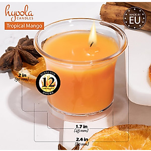 HYOOLA Clear Cup Scented Votive Candles - Winter Orange - 12 Hour Burn Time - 4 Pack - European Made