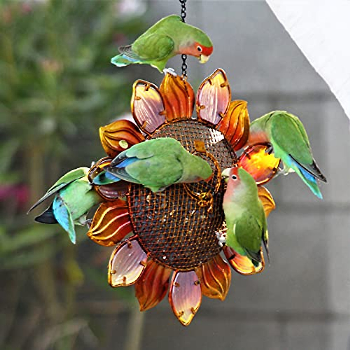 Wild Bird Feeder - Metal Bird Feeders, Sunflower Hanging Bird Feeder, Bird Seeds for Outside Wild Birds Patio & Garden Outdoor Decoration