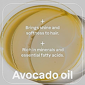 ATTITUDE Hair Conditioner Bar, Plant- and Mineral-Based Plastic-free Beauty Care, Vegan and Cruelty-free, Nourishing, Sandalwood, 4 Oz