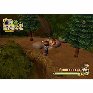 Harvest Moon: Tree of Tranquility - Nintendo Wii