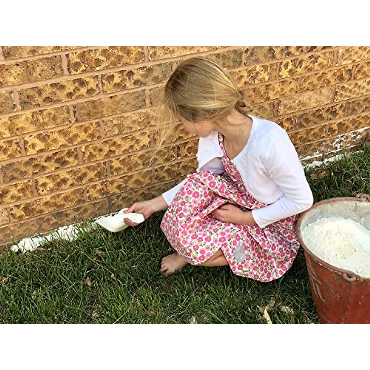 First Saturday Lime for Insects 20lb