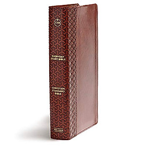 CSB Everyday Study Bible, British Tan LeatherTouch, Black Letter, Study Notes, Illustrations, Aricles, Easy-to-Carry, Easy-to-Read Bible Serif Type
