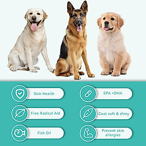 Omega-3 Multivitamin Skin and Coat Supplement for Dogs Omega 3 Fish Oil Supplement, Supports Shedding, Skin & Coat, Immunity, EPA,DHA- 300g(200 Chews)