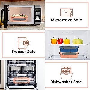 Cerlaza Bento Lunch Box Containers for Adults, Leak Proof Meal Prep Containers with 2 Compartments Dividers and Spoon, BPA-Free and Food-Safe Materials - Pink