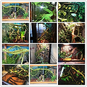 Jungle Vines Flexible Pet Habitat Decor for Lizards, Frogs, Snakes and Other Reptiles
