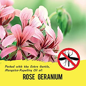 YAYA ORGANICS Baby Bug BAN – All-Natural, Proven Effective Repellent for Babies, Kids and Sensitive Skin (4 Ounce Spray, 2-Pack)