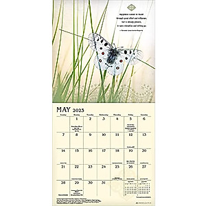 Meditation 2023 Wall Calendar | 12" x 24" Open | Amber Lotus Publishing