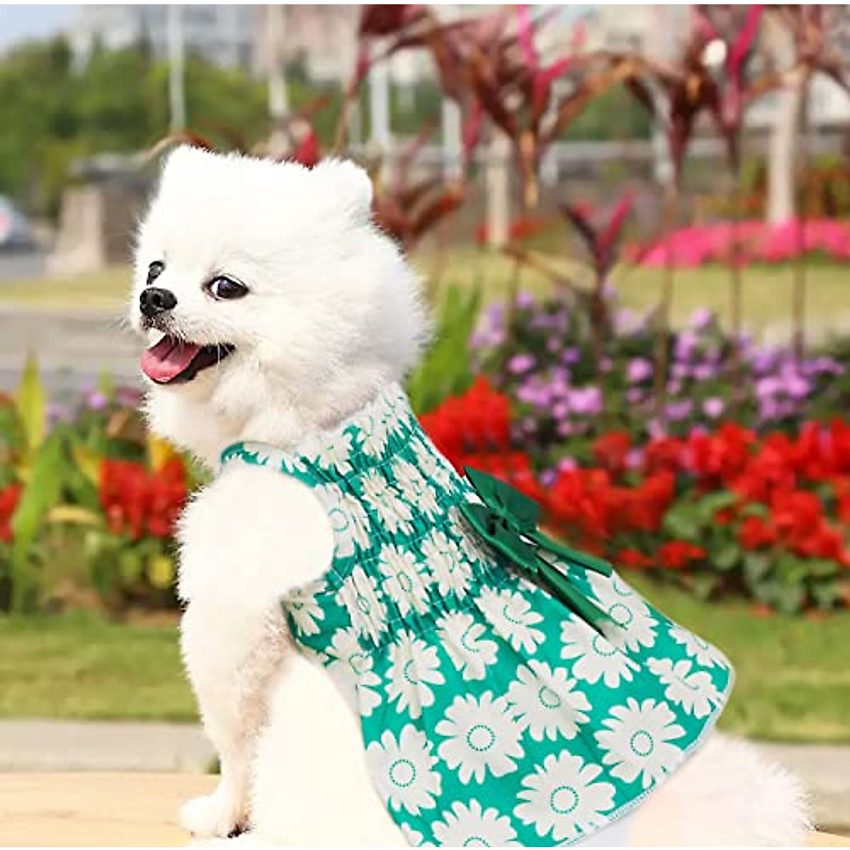 Albrost 4 PCs Dog Bow-Knot Floral Dress, Pet Princess Dresses for Small Girl Dog, Braces Suspender Skirt, Puppy Summer Sundress Doggy Outfit Dogs Cats Rabbits (Small)