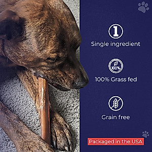 Devil Dog Pet Co. Jumbo Bully Sticks – 12 Inch 3 Pack Chew Treats, 100% All Natural, Free-Range Grass-Fed Beef – Long Lasting & Rawhide Free Bully Stick Dog Chews – Bully Sticks for Dogs