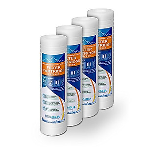 Grooved Sediment Water Filter Cartridge by Ronaqua 10"x 2.5", Four Layers of Filtration, Removes Sand, Dirt, Silt, Rust, made from Polypropylene (4 Pack, 1 Micron)