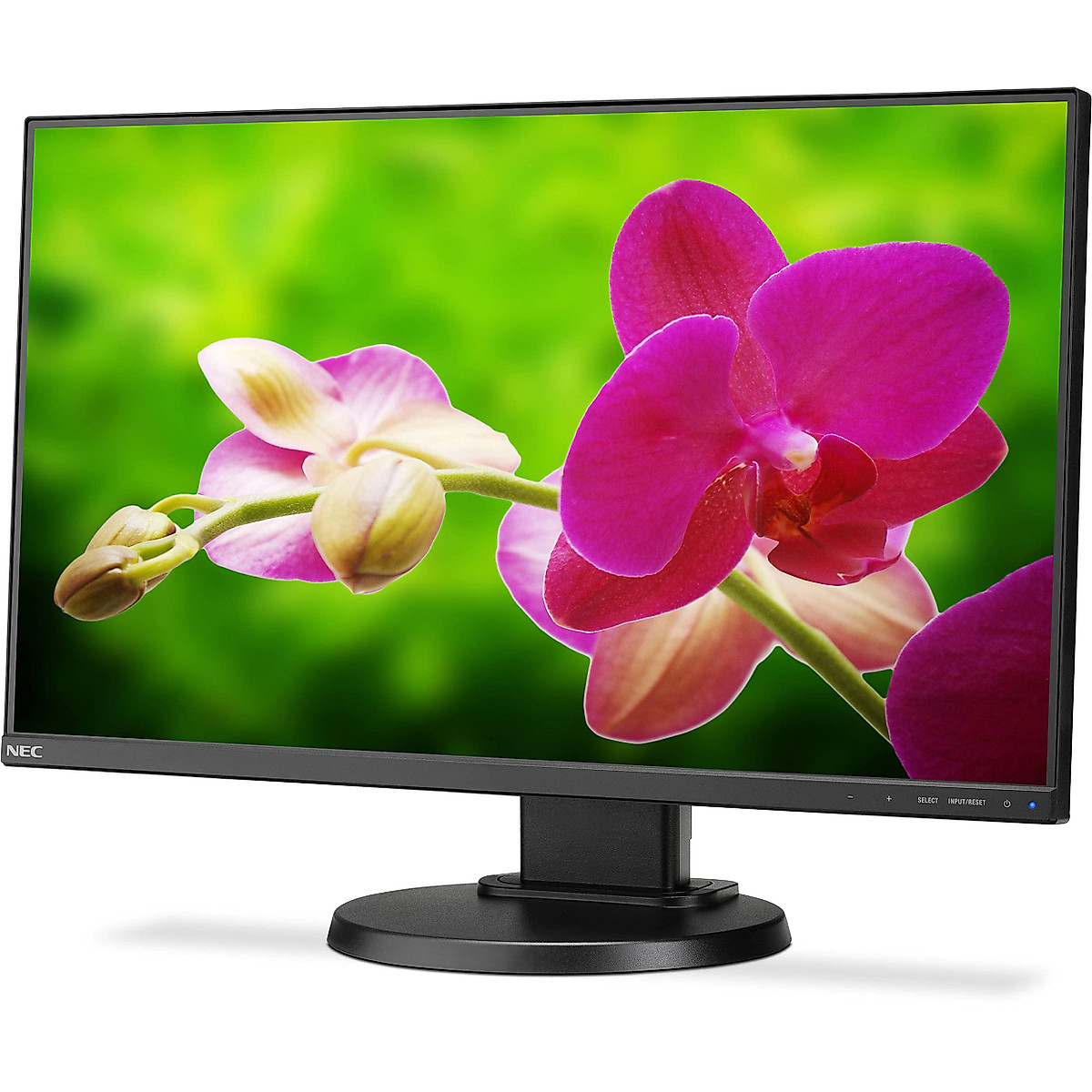 NEC 24INCH Narrow Bezel Desktop Monitor W/IPS Panel, Integrated Speakers and LED BA