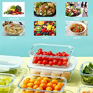 TRBIDRBO 2600 ML /88oz/ 11 Cup LARGE Glass Food Storage Container with Airtight Locking Lid for Storing food, Vegetables, Fruits Roasting Turkey Freezer Microwave & Oven Safe Leak Proof