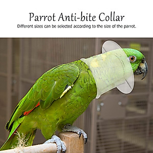 Parrot Neck Collar, Plastic -bite Collar Clear Bird Feather Protector Prevent Grab Lick Healing Safety Bird Cone Collar for Macaw Cockatoo Parrot Large
