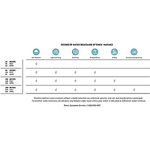 Timex Men's TW2P67400 South Street Sport Two-Tone/Champagne Extra Long Stainless Steel Expansion Band Watch