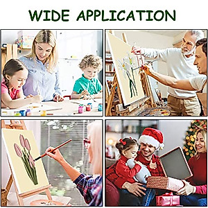 SANWEITU Paint by Number for Adults-Paint by Numbers for kids Adults Beginner, 3 Packs Flower Paint by Number for Adults Framed Canvas for Home Decor 12 × 16 inch