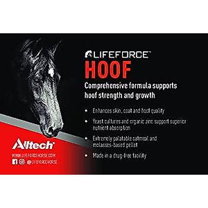 Lifeforce Horse Supplements (Hoof)