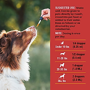 Urinary Tract Infection Treatment for Cats and Dogs - Cranberry UTI Supplement, Kidney and Bladder Support, 2 oz