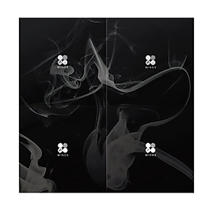 BTS - WINGS (Vol.2) CD (N ver.)