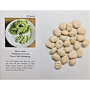 David's Garden Seeds Bean Lima Bush Fordhook FBA-00063 (Green) 25 Non-GMO, Heirloom Seeds