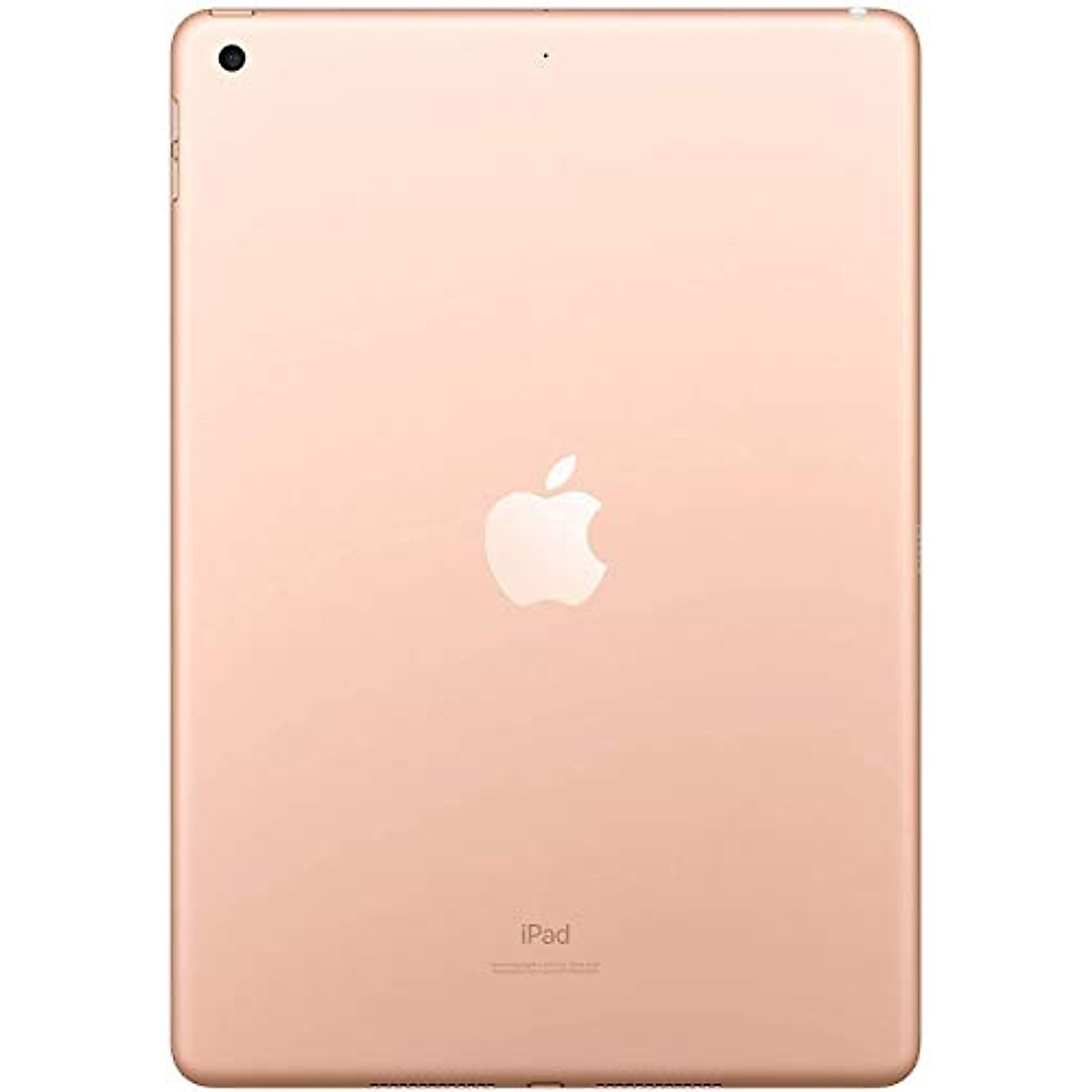 2019 Apple iPad (10.2-inch, Wi-Fi, 128GB) - Gold (Renewed Premium)