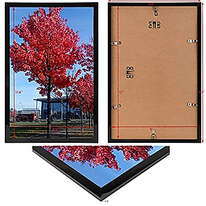Medog 9x12 Picture Frame Set of 1 Black 9x12 Inch Picture Frames Display Pictures 9x12 Without Mat Wall Mounting Document Certificate Frames Picture Frame 9x12 (P1P BA)