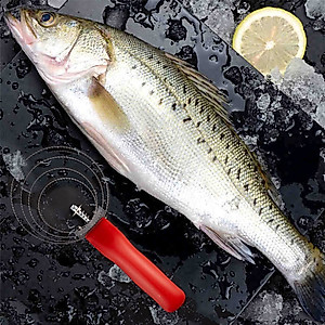 Fish Skin Brush Fast Remove, 2pcs Stainless Steel Fish Scaler Remover, Heavy Duty commercial Fish Scaler Brush Fish Scaler Cleaning, Stainless Steel Sawtooth Easily Remove Fish Scales