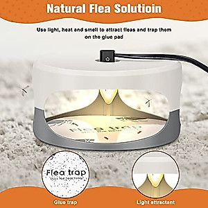 UPYEAL Flea Trap 2 Packs – Premium Traps for Inside Your Home Natural and Child-Friendly Light Indoor with Glue Discs Refills LED Lightbulb