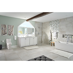 American Standard 3749000.002 Townsend 24-Inch Double -Towel Bar, Polished Chrome