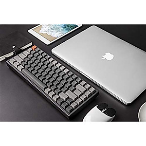 Keychron K2 Version 2 Wireless Gaming Mechanical Keyboard, Bluetooth/USB Wired Compact 84 Keys RGB LED Backlit Aluminum Frame for Mac Windows, Gateron G Pro Blue Switch