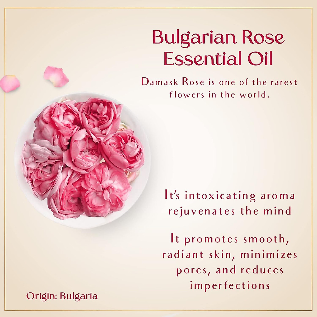 SAFA Rosé Oil - Organic Oil for Face, Body, Hair, Nails & Aromatherapy | Bulgarian Rose Essential Oil & Organic Floating Rose Petals | Moisturizer for Women & Men - 4 Fl Oz (1)