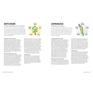 Companion Planting for Beginners: Pair Your Plants for a Bountiful, Chemical-Free Vegetable Garden