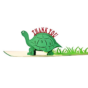 iGifts And Cards Cute Turtle Thank You 3D Pop Up Greeting Card - Funny Animals, Turquoise, Blank, Cool, Fun, Half-Fold, Thank You, Gratitude, Appreciation, Friendship, Best Friend, Belated, Kids, Grad