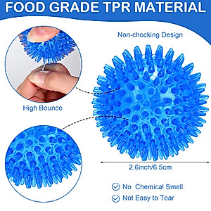 Hanaive 36 Pcs Squeaky Balls for Dogs Squeaky Dog Toys Bulk 2.5 Inch Spiky Dog Chew Balls for Small Dogs Interactive Fetch Toys for Puppy Cleans Teeth for Healthier Gums