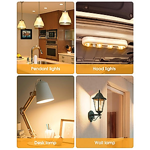 Flaspar G8 Halogen Light Bulbs, 20W G8 Bi-Pin Base Halogen Bulb, 120V Dimmable T4 JCD Type G8 Base for Microwave Hood Light Bulb, Warm White Under Cabinet Puck Lights Replacements, Xenon Bulb, 6 Pack