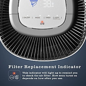 Hepa Filter Replacement for Taylor Swoden Air Purifier B08887JNHC Model 330600IBB