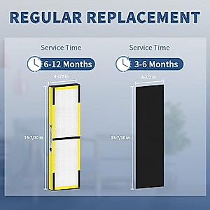 FLT4825 HEPA Filter B Replacement for Air Purifier AC4825, AC4300, AC4900, AC4825DLX, AC4850, CDAP4500, AP2200, Funmit 2 H13 True HEPA Filters + 8 Activated Carbon Pre-Filters