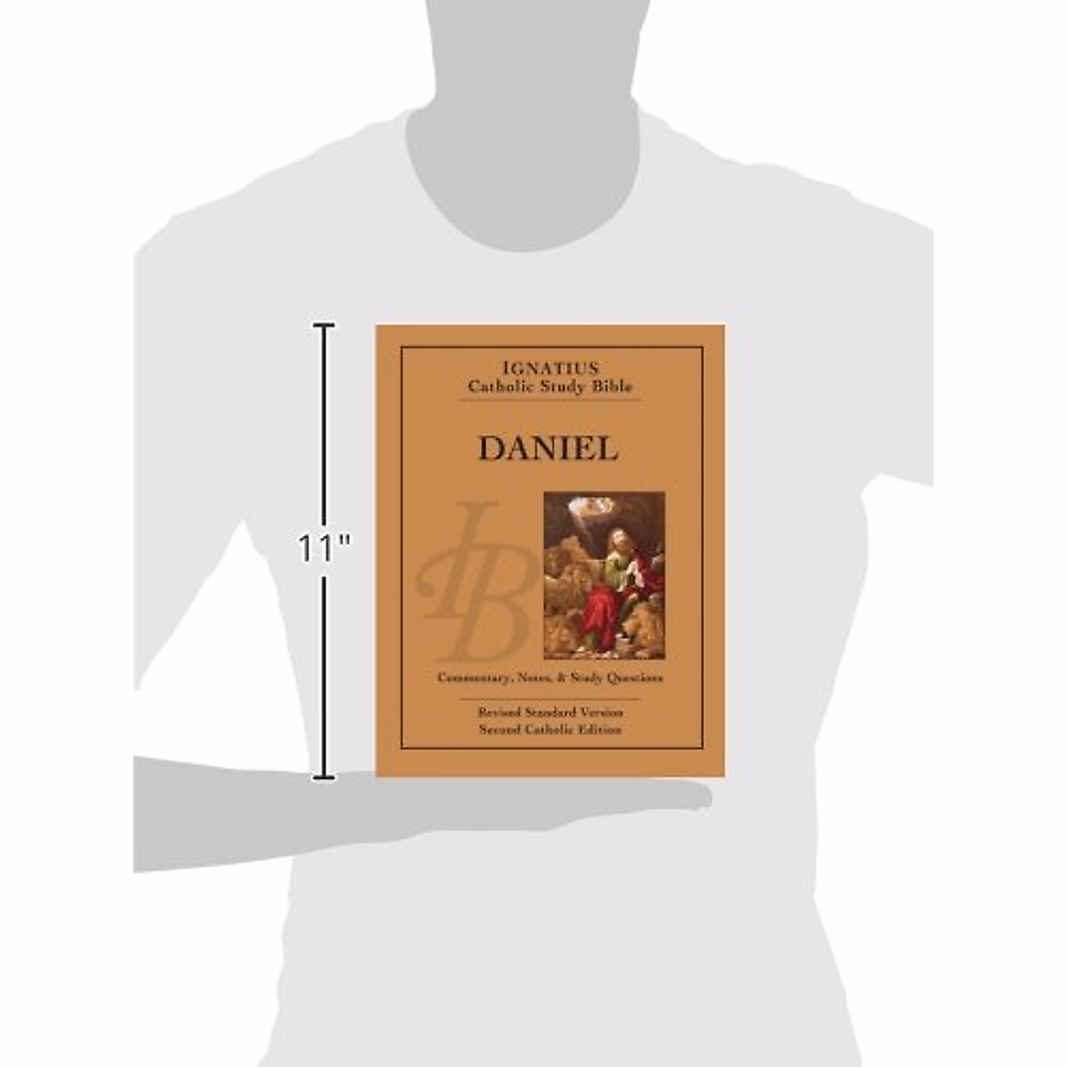 Daniel (Ignatius Catholic Study Bible)