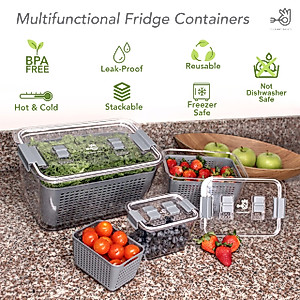 Fruit Storage Containers for Fridge Produce Saver Container for Refrigerator Vegetable Lettuce Keeper Organizer Food Berry Bin with Lid