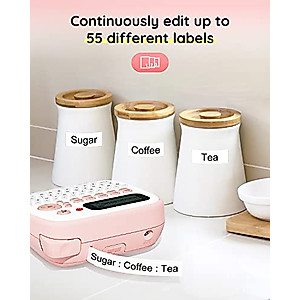 Pink Label Maker Machine with Tape D210S Portable Labeler Label Printer for Labeling with 4 Laminated Label Tapes JM231, QWERTY Keyboard Label Maker, AC Adapter Easy-to-Use, Multiple Line Labeling
