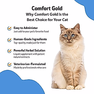 Pet Wellbeing Comfort Gold for Cats - Vet-Formulated - Supports Feline Physical Comfort - Natural Herbal Supplement 2 oz (59 ml)