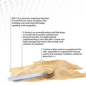 L-Lysine Gel for Cats-Immune System Support-Supplement Support for Healthy Tissue, Respiratory, and Vision Chicken and Fish Flavor-Easy to Use Granules- 3.5oz(100g)