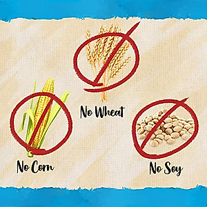 Blue Dog Bakery Natural Dog Treats, Perfect Trainers, Low Calorie Dog Training Treats, Chicken & Cheese Flavor, 6oz, 1 Count