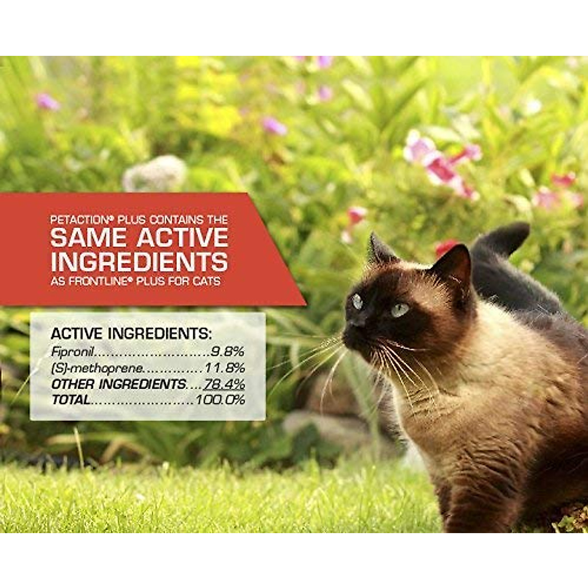 PetAction Plus for Cats 12 Doses