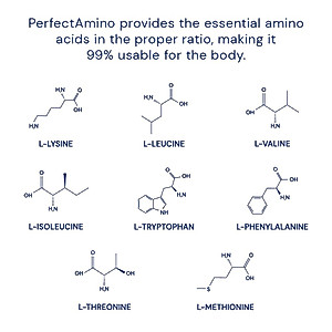 BodyHealth PerfectAmino (150 ct) Easy to Swallow Tablets, Essential Amino Acids Supplement with BCAAs, Vegan Protein for Pre/Post Workout & Muscle Recovery with Lysine, Tryptophan, Leucine, Methionine