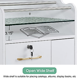 BarberPub Salon Cart with Storage Drawer Cabinet Barber Trolley with Wheels Rolling Salon Cart for Hair Stylist Beauty Organizer 2045 (White)