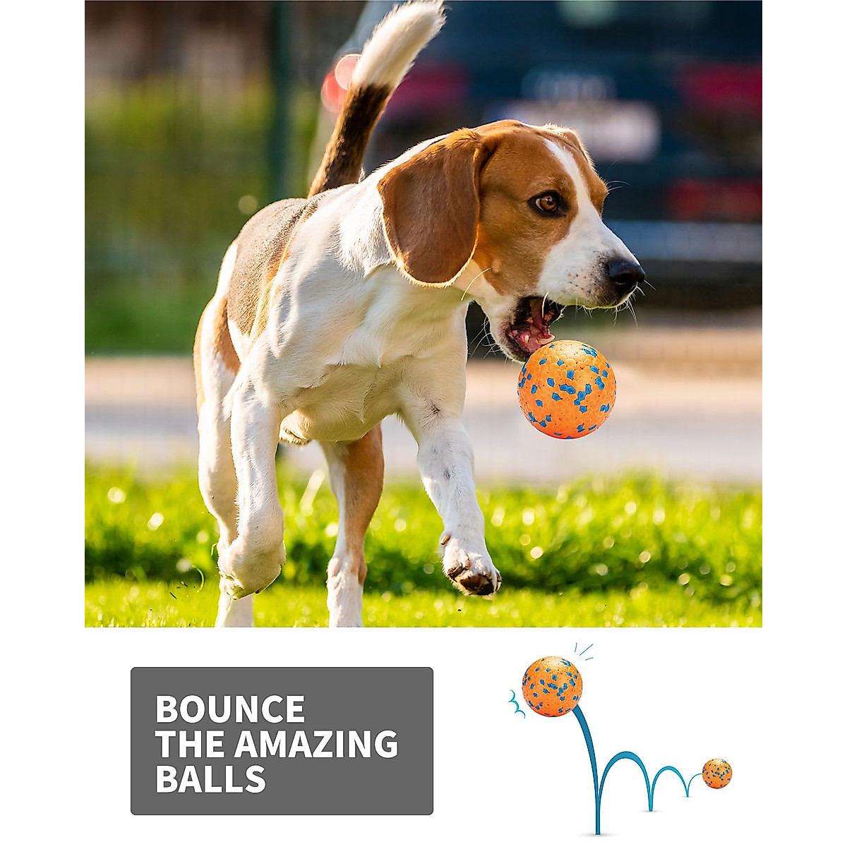 EVERDAZZ Tennis Ball Dog Toys for Aggressive Chewers: Teething Chew Toys - Water Toy Fetch Balls for Large Medium Small Dog and Puppy (2 Balls)