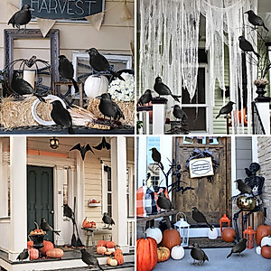 kemooie 6 Packs Real Feathered Halloween Black Crows, Handmade Realistic Crow with Real Feathers Raven Birds for Yard Tree Garden Patio Indoor Outdoor Halloween Decorations