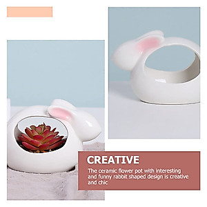 GANAZONO Bunny Succulent Planter Outdoor Decor Rabbit Shaped Planter Ceramic Plant Pot Easter Bonsai Succulent Container Bunny Plant Pot for Easter Party Favors Decoration Indoor Plants